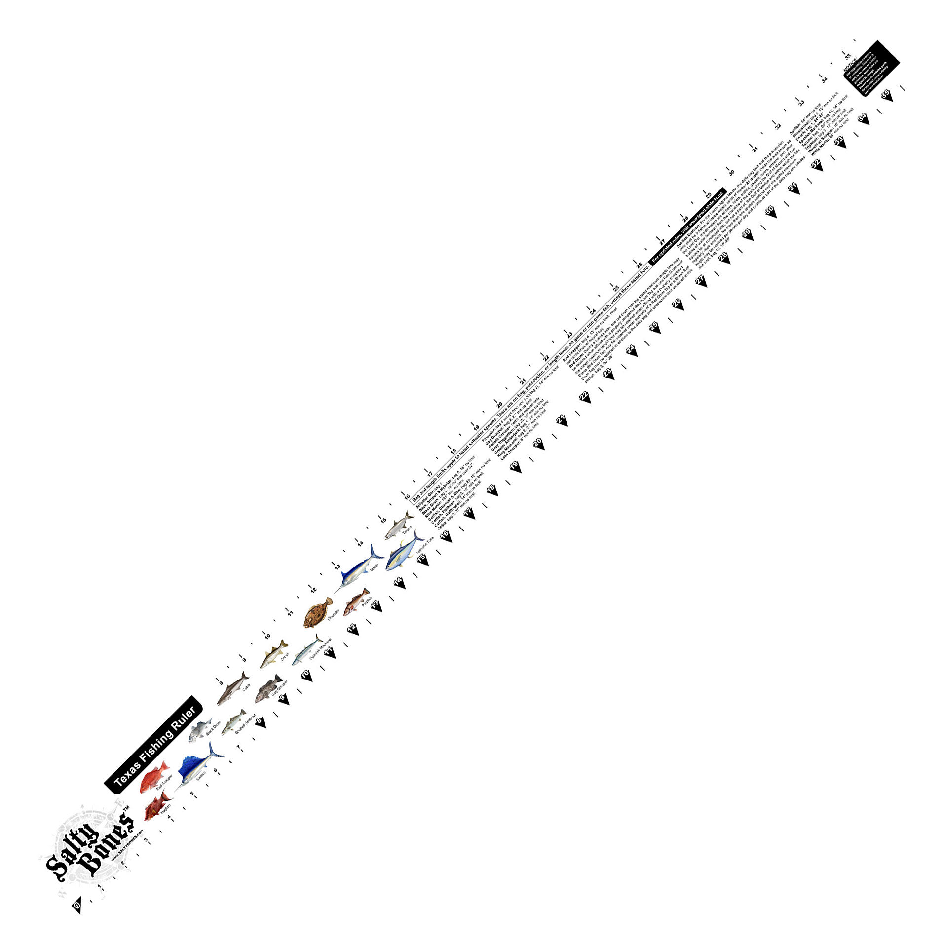 Salty Bones Vinyl Fish Ruler | Bass Pro Shops